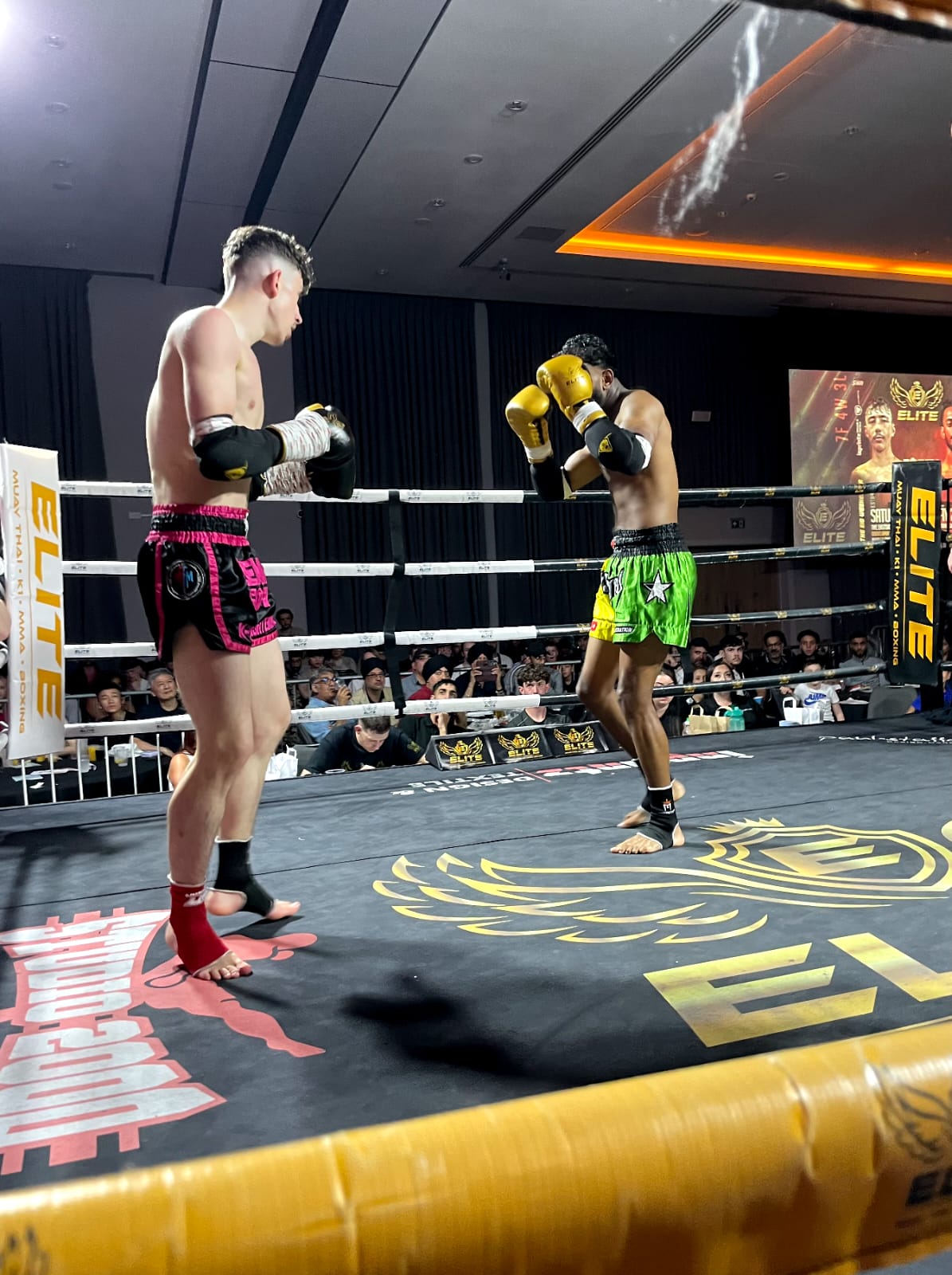 Siggy's Heroic Effort at Birmingham's Elite Fighting Championships - SN ...